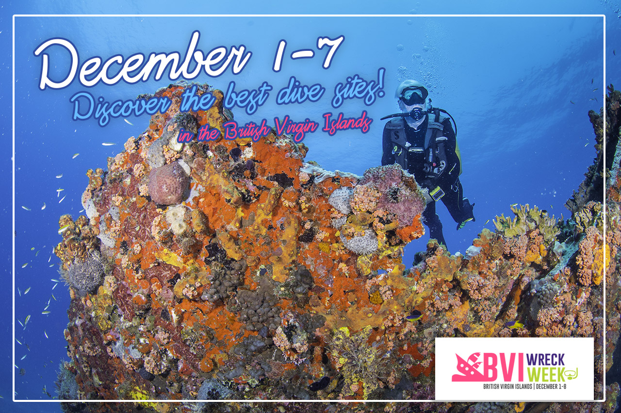 BVI Scuba – British Virgin Islands